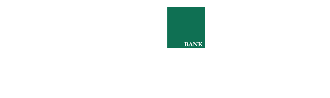 Nb Bank Logo